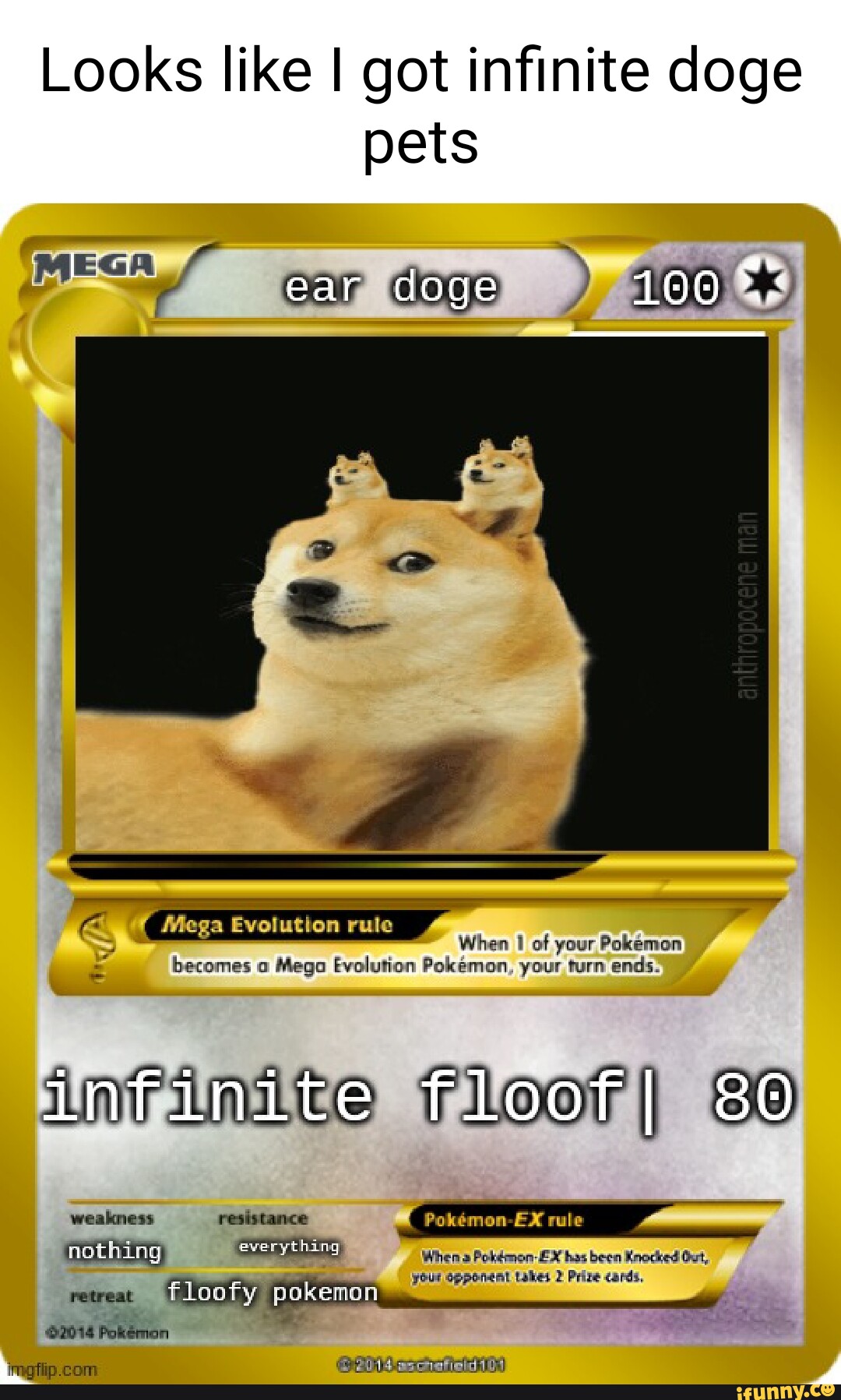 Doge Pokemon