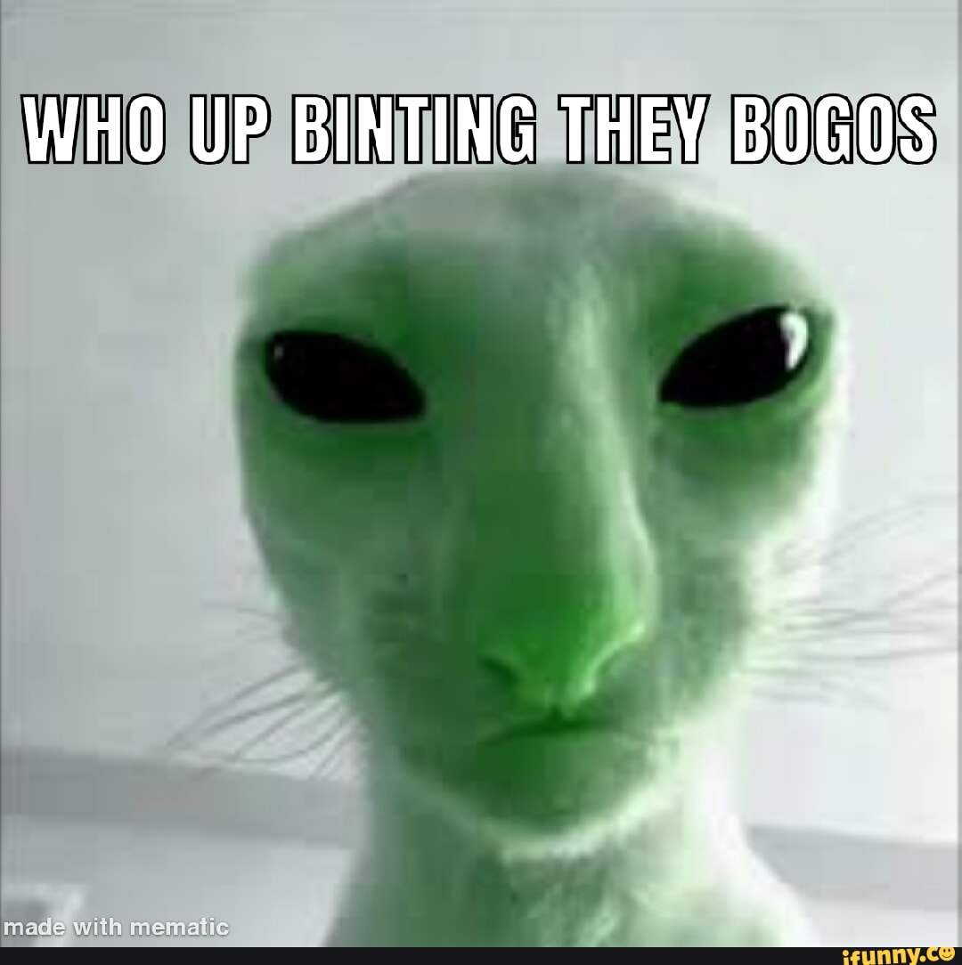 WHO UP BINTING THEY BOGOS - iFunny Brazil