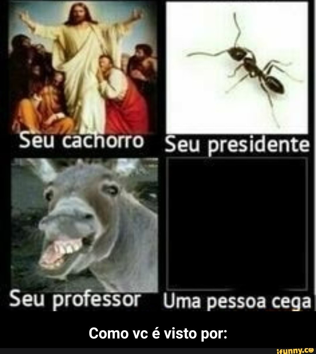 Seu professor Uma pessoa cega Como vc é visto por: - Como vc é visto ...