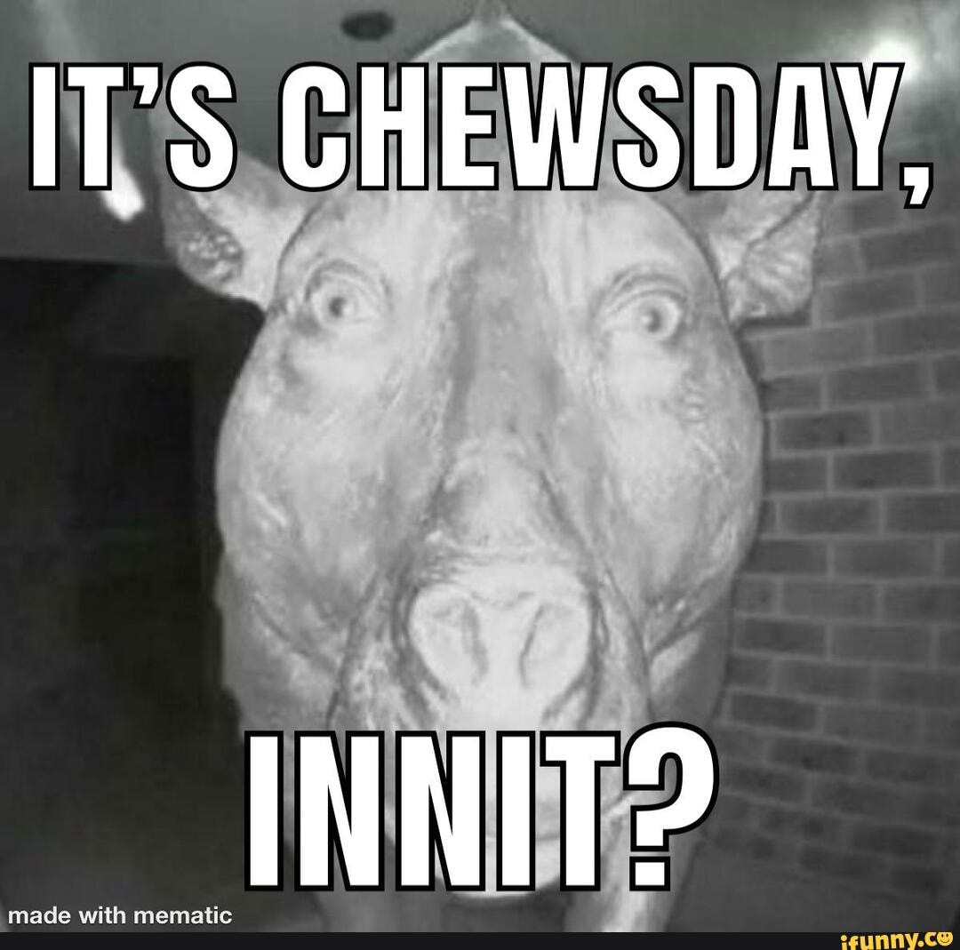 Chewsday Innit Meme Seller UK | www.micoope.com.gt