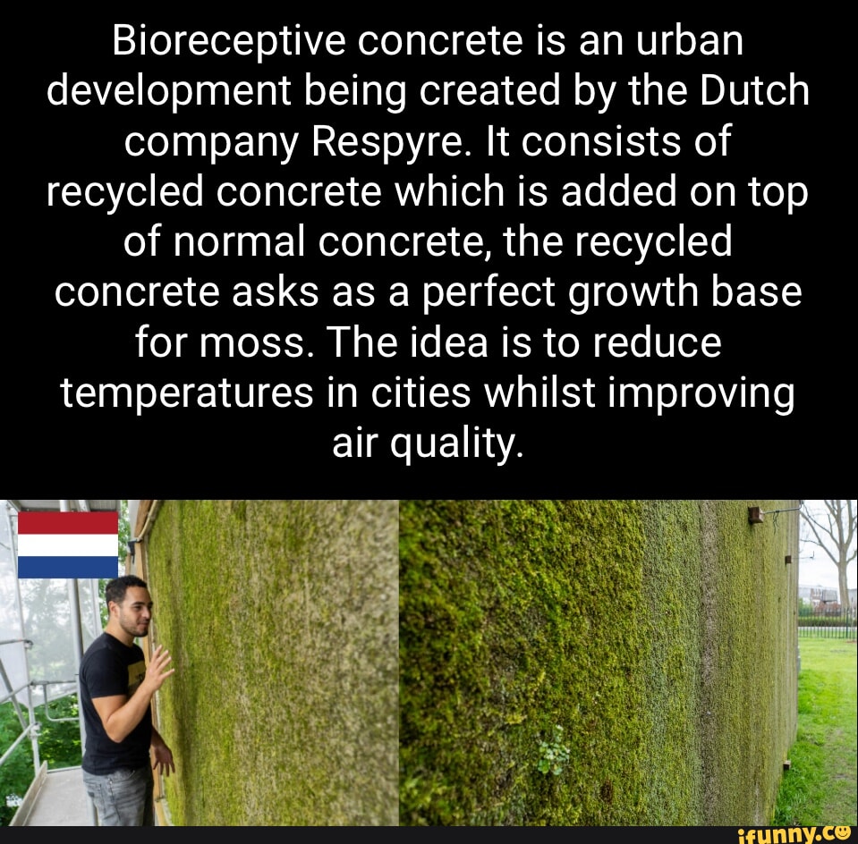 Bioreceptive concrete is an urban development being created by the ...