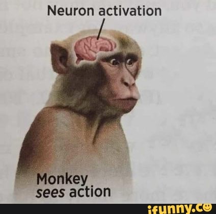 Neuron activation Monkey sees action - iFunny Brazil