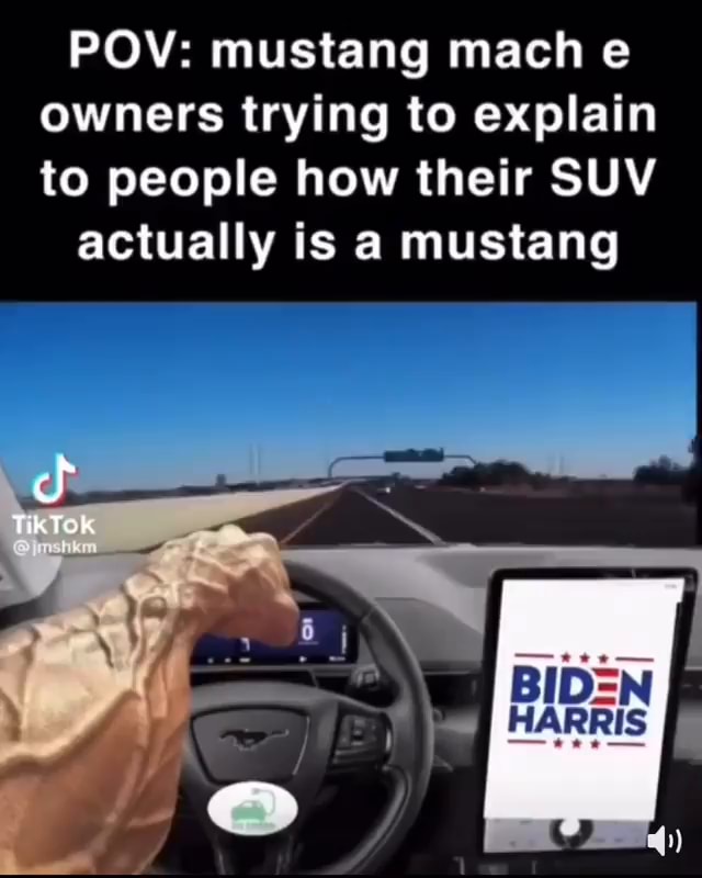 Mustang Drivers Meme