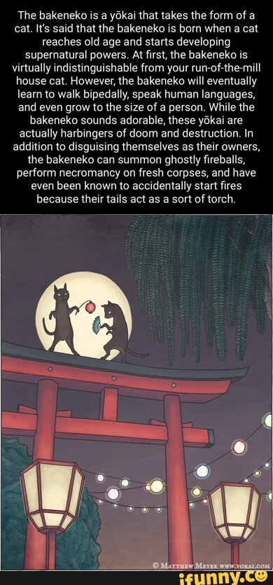 The bakeneko is a yokai that takes the form of a cat. It's said that ...