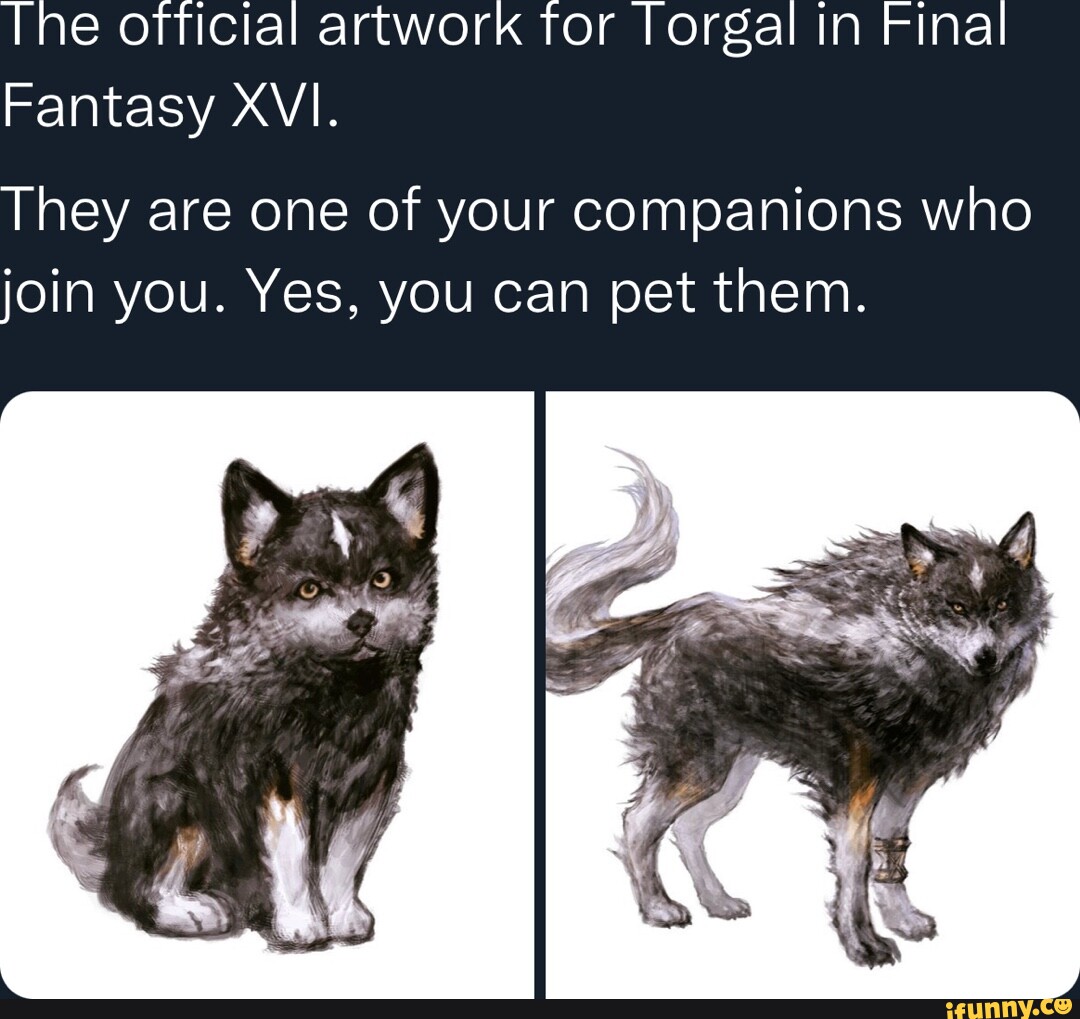 The official artwork for Torgal in Final Fantasy XVI. They are one of ...