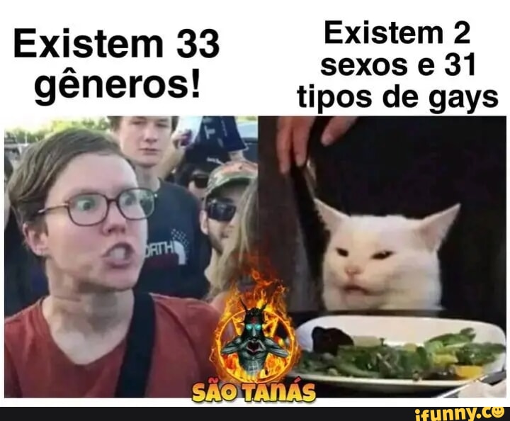 Existem 33 Existem 2 sexos e 31 gêneros! tipos de gays - iFunny Brazil