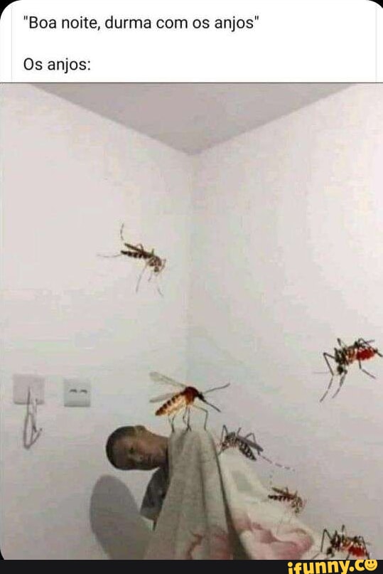 Anjos memes. Best Collection of funny Anjos pictures on iFunny Brazil