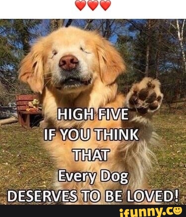 Internet High Five Meme