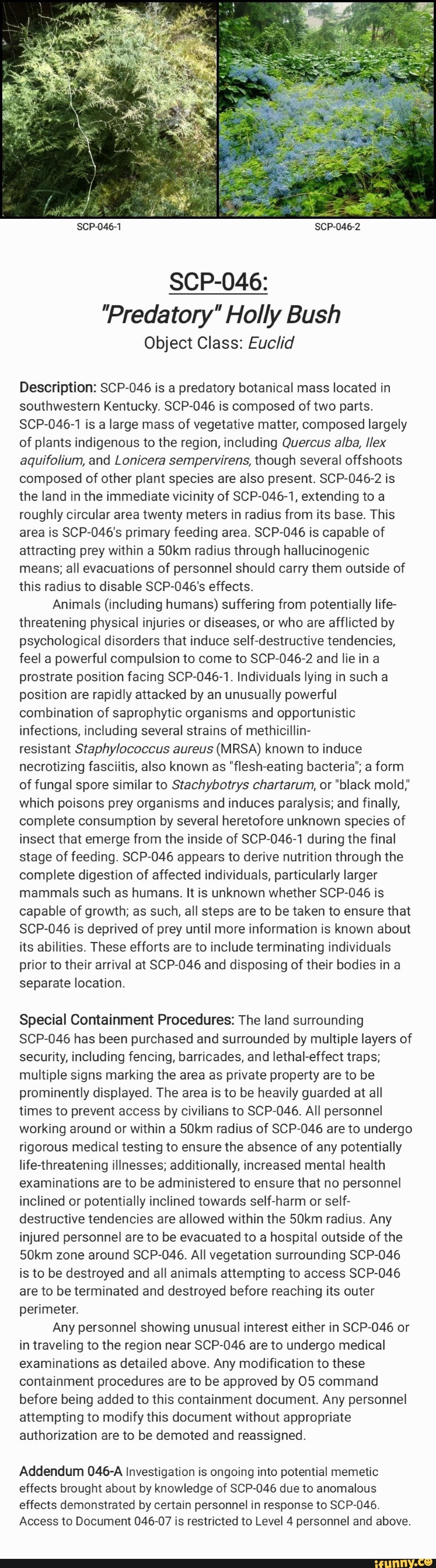 SCP-046-1 SCP-046-2 SCP-046: "Predatory" Holly Bush Object Class ...
