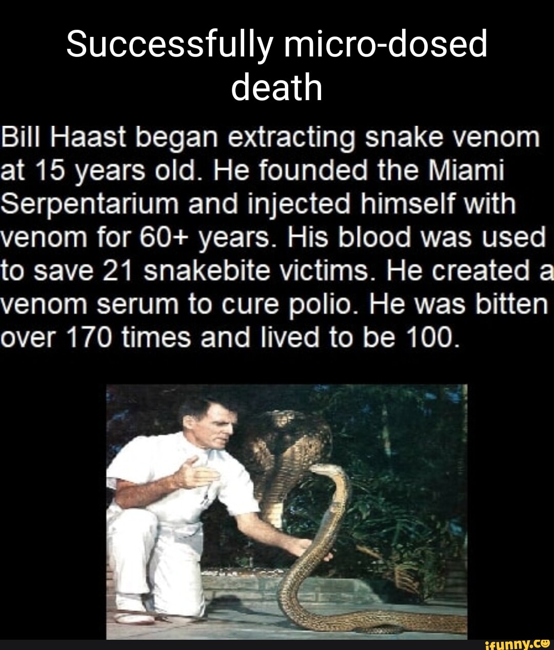 Successfully micro-dosed death Bill Haast began extracting snake venom ...
