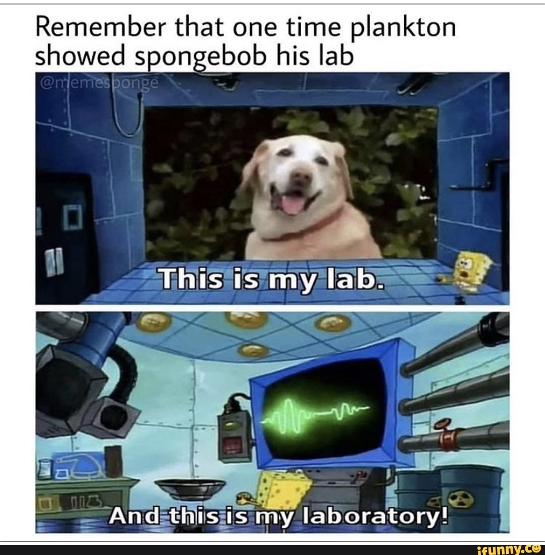 iFunny :)