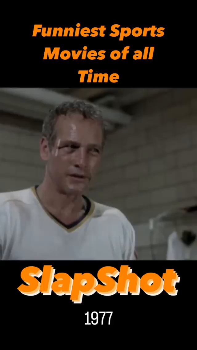 Funniest Pictures Of All Time With Captions