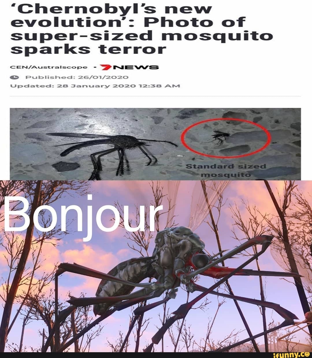'Chernobyl's new evolution': Photo of super-sized mosquito sparks ...