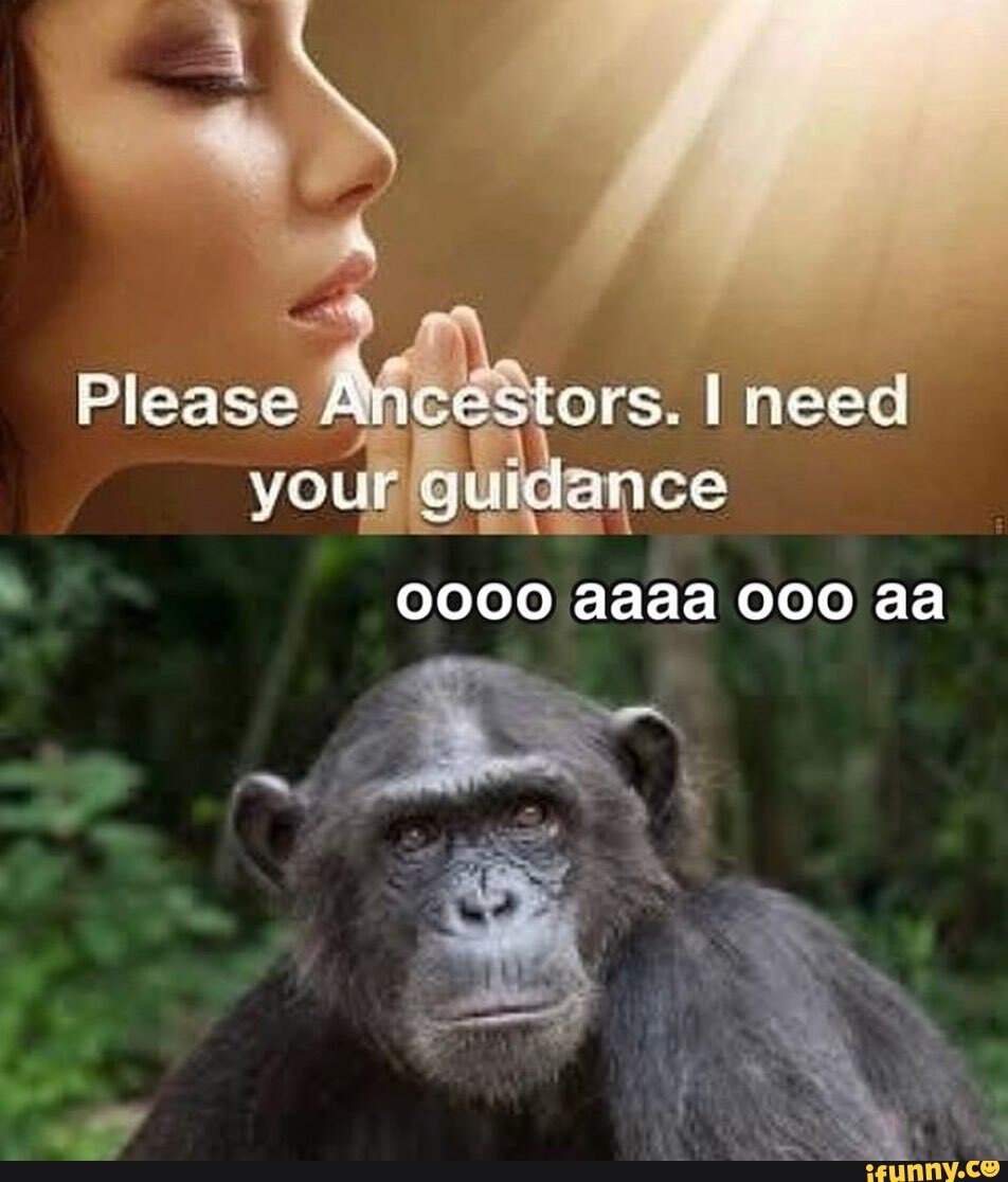 Please Ancestors. need your Guidance QOOO daddad OOO aa - iFunny Brazil