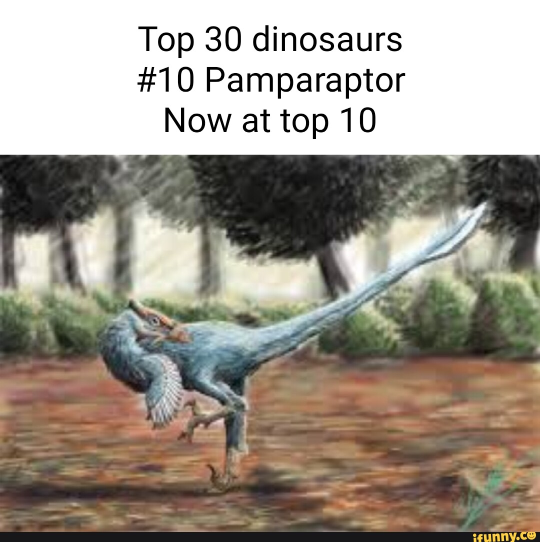 Top 30 dinosaurs #10 Pamparaptor Now at top 10 - iFunny Brazil