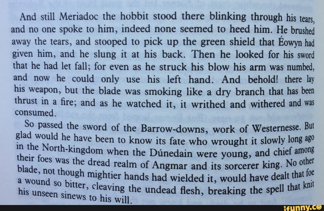 And still Meriadoc the hobbit stood there blinking through his tears ...