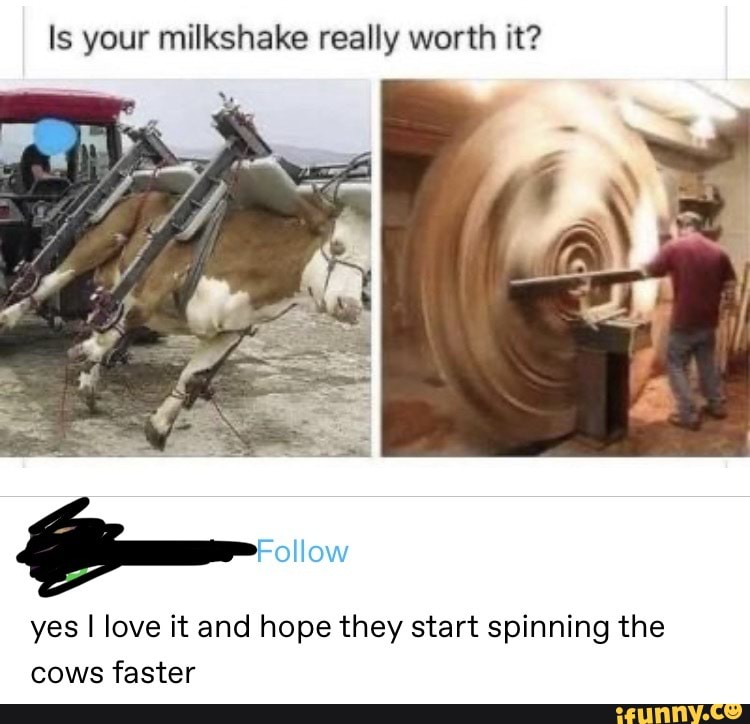 Spin the cow faster - Is your milkshake really worth it? ollow yes I ...