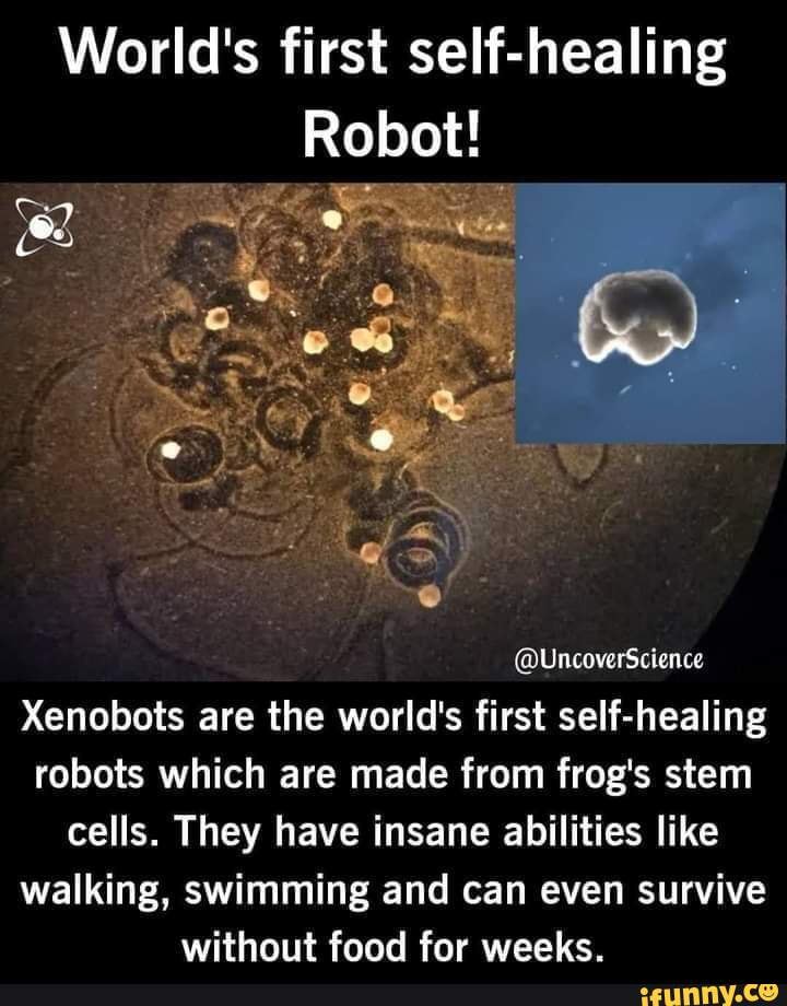 World's first self-healing Robot! @UncoverScience Xenobots are the world's first self-healing ...