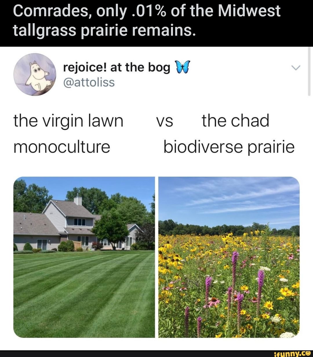 Comrades, only .01% of the Midwest tallgrass prairie remains. the ...