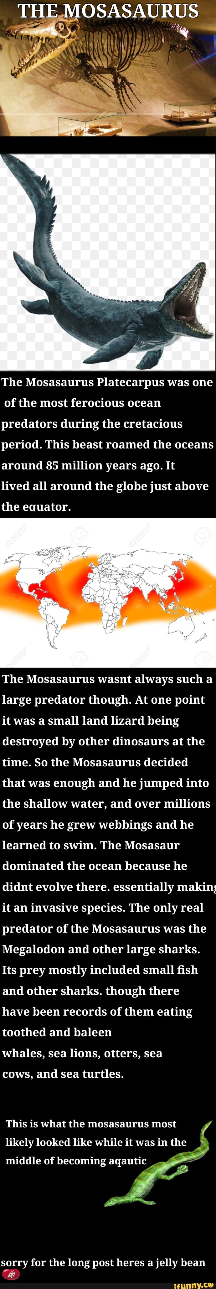 THE MOSASAURUS The Mosasaurus Platecarpus was one of the most ferocious ...