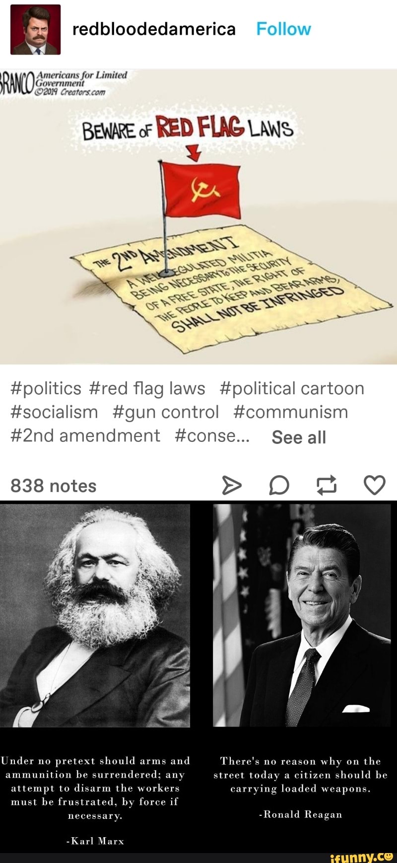 Gun Control Cartoon Meme