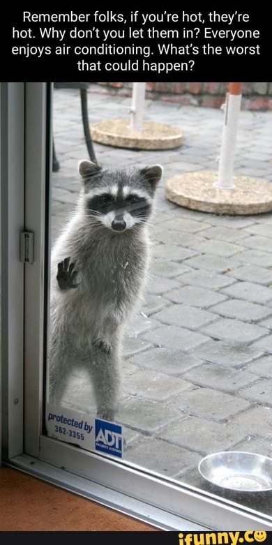 Remember folks, if you're hot, they're hot. Why don't you let them in ...