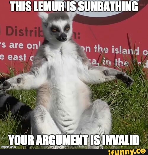 Lemur Memes