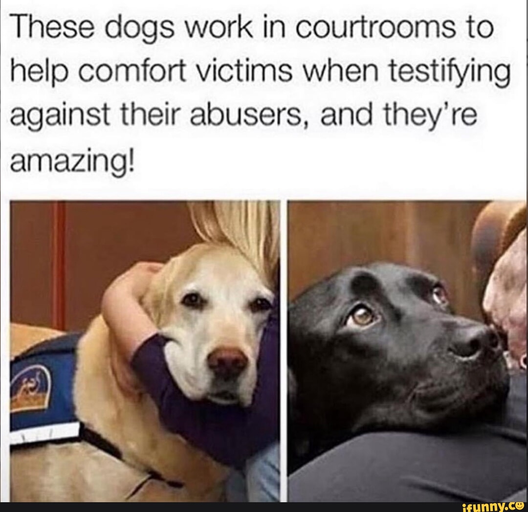 Courtrooms memes. Best Collection of funny Courtrooms pictures on ...