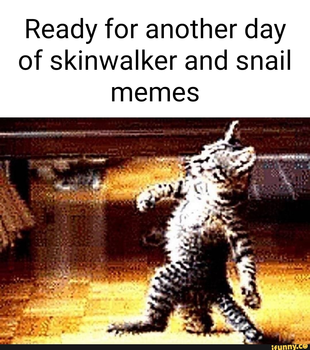 Ready for another day of skinwalker and snail memes - iFunny Brazil