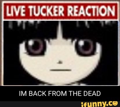 LIVE TUCKER REACTION IM BACK FROM THE DEAD - iFunny Brazil