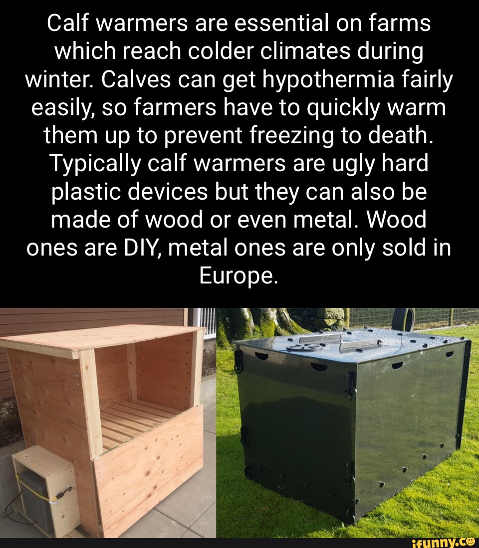 Calf warmers are essential on farms which reach colder climates during ...