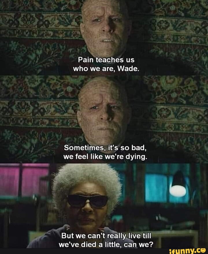 Pain teaches us who we are, Wade Sometimes, it's so bad, we feel like ...