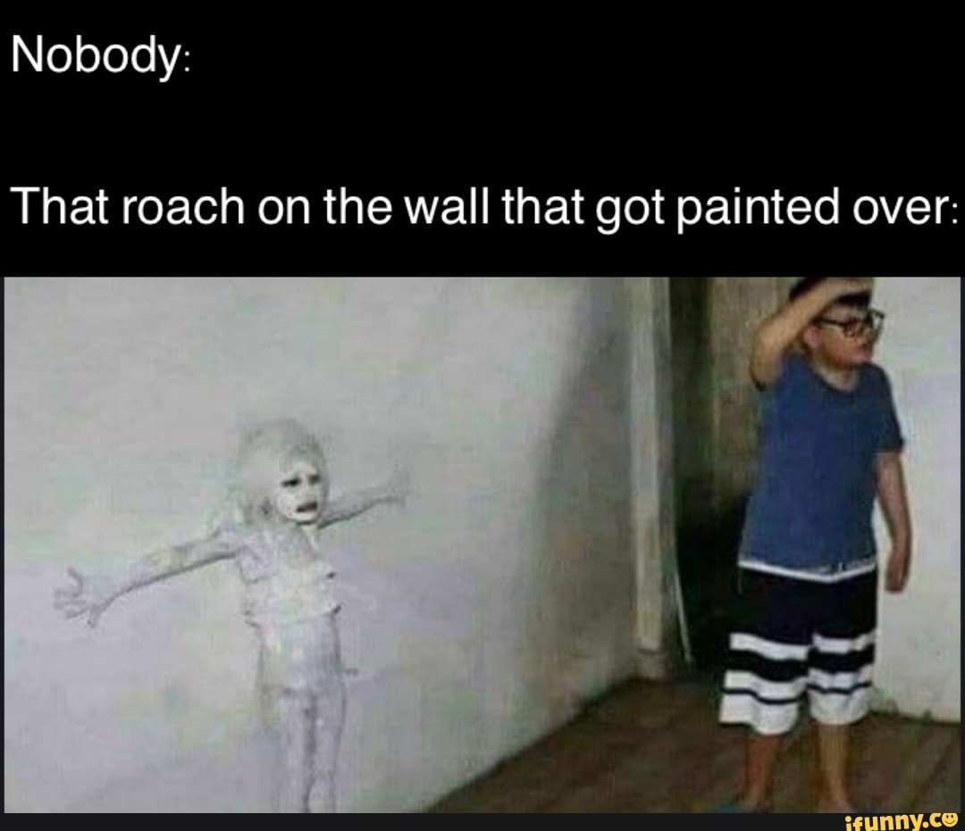 Nobody: That roach on the wall that got painted over: - iFunny Brazil