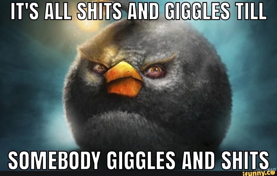 IT'S ALL SHITS AND GIGGLES TILL SOMEBODY GIGGLES AND SHITS - iFunny Brazil