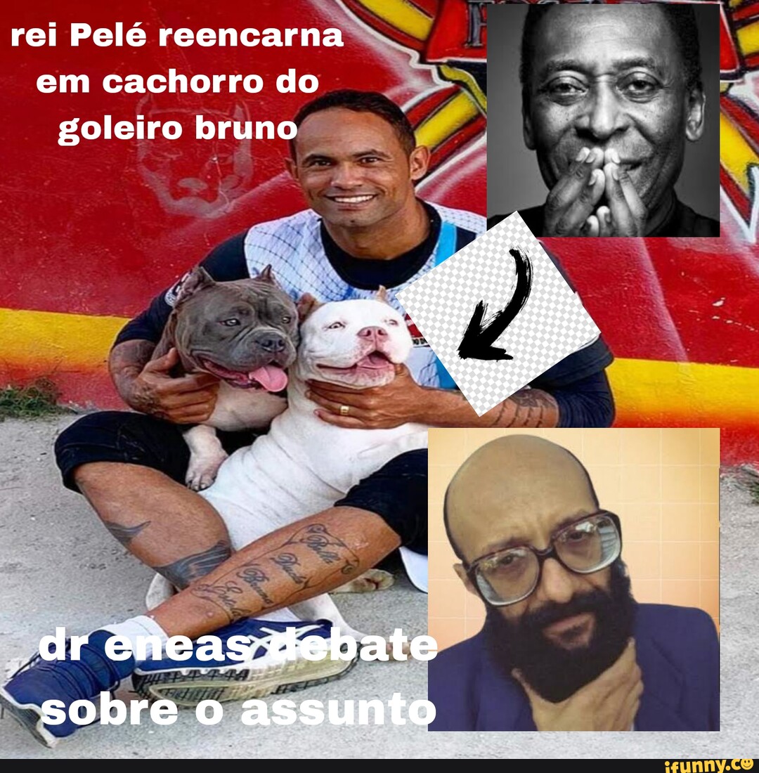 Rei Pelé reencarna em cachorro do goleiro bruno dr sobre o assunto - iFunny Brazil