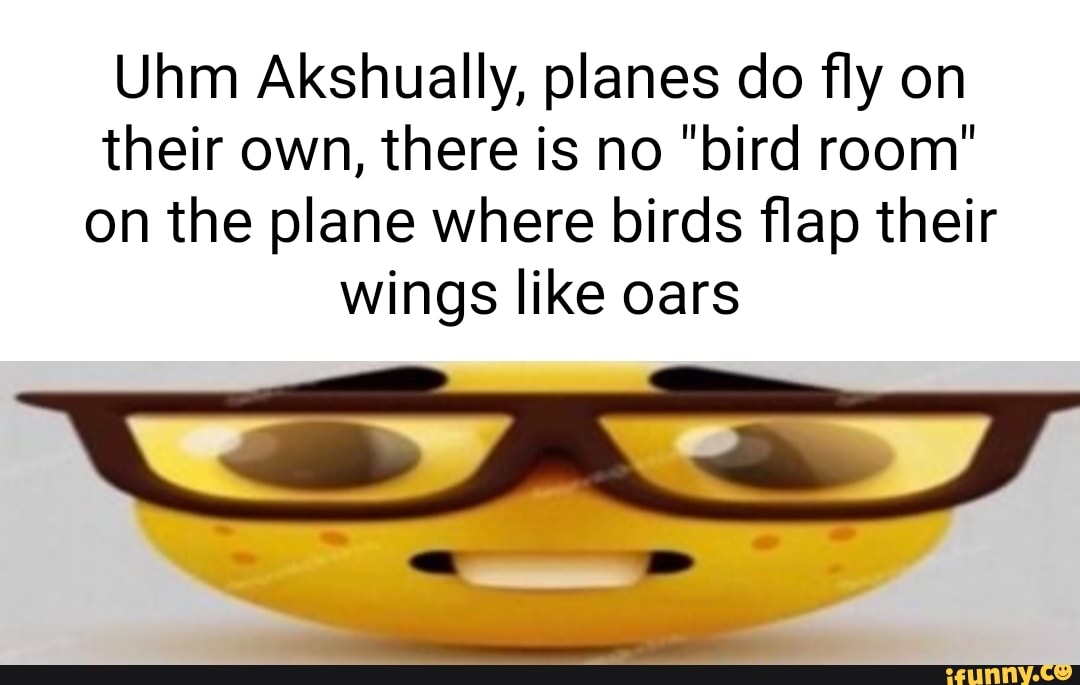 Uhm Akshually, planes do fly on their own, there is no "bird room' on ...