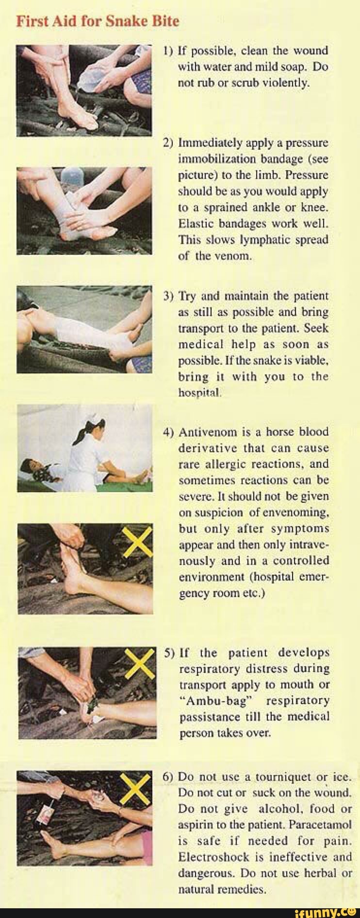 First Aid for Snake Bite 1) If possible, clean the wound with water and ...