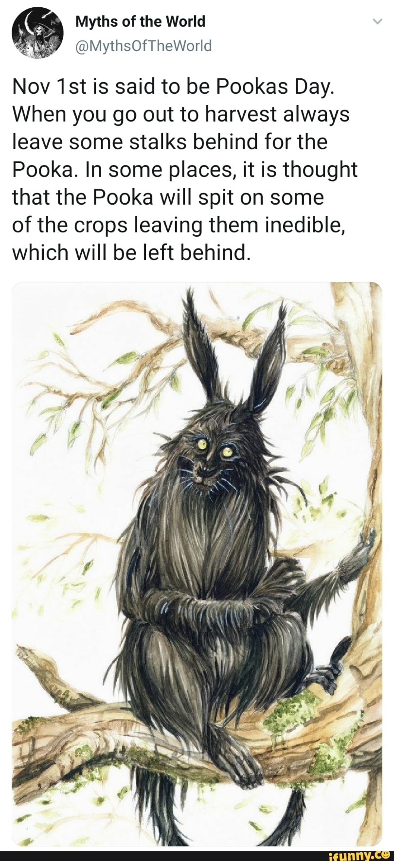 Nov ist is said to be Pookas Day. When you go out to harvest always ...