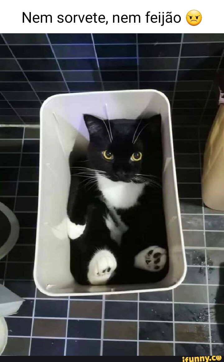 Nem sorvete, nem feijão - iFunny Brazil