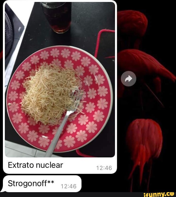 Extrato nuclear Strogonoff** - iFunny Brazil