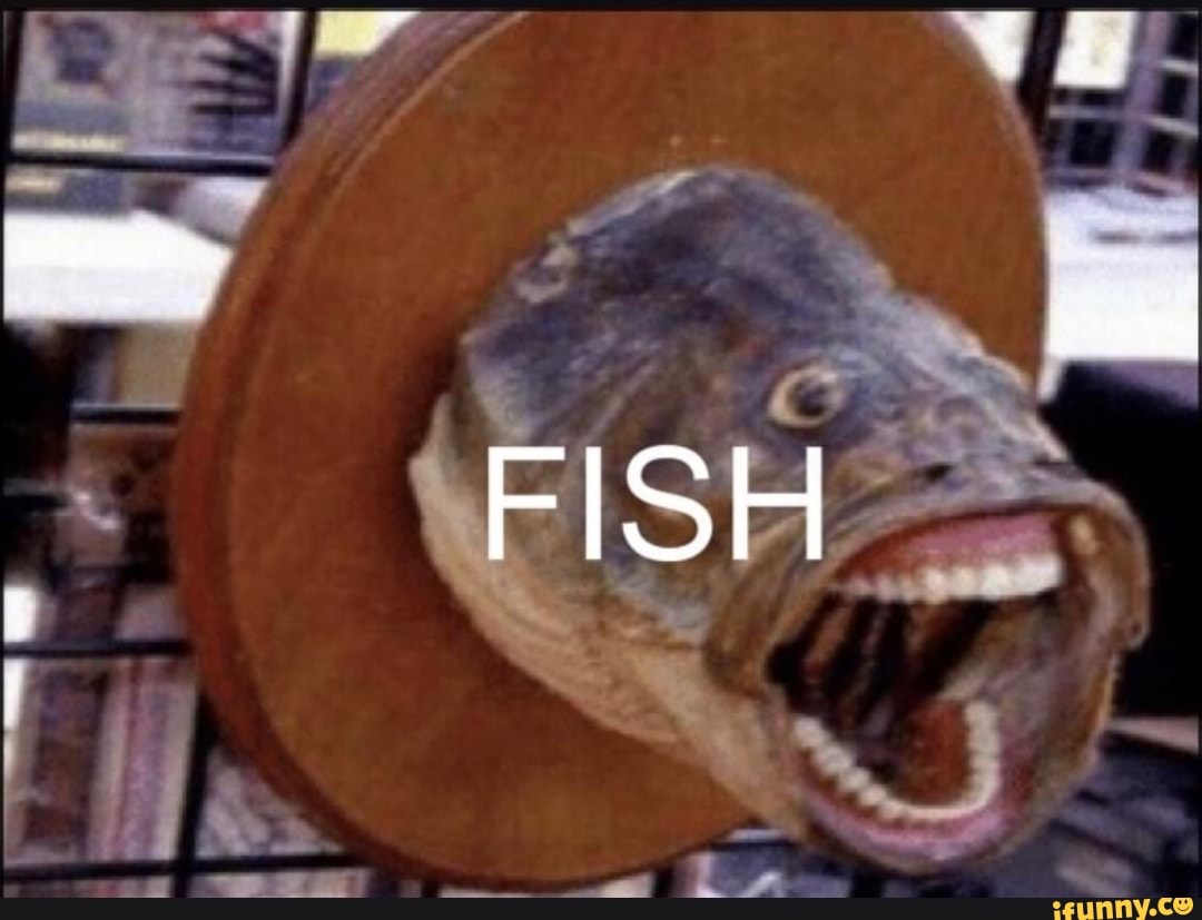 Picture memes moisNfIP8 by GullibleGary_2020 - iFunny Brazil