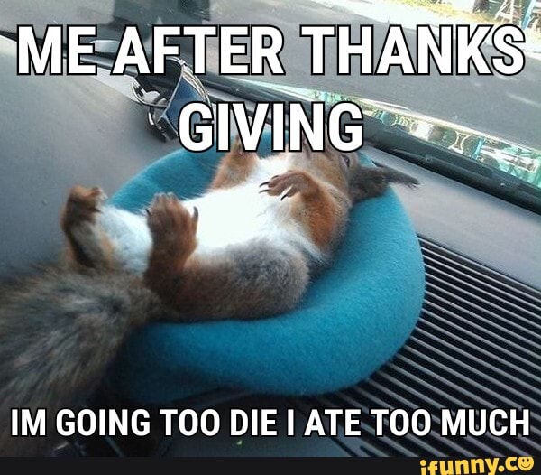 Ate Too Much Thanksgiving