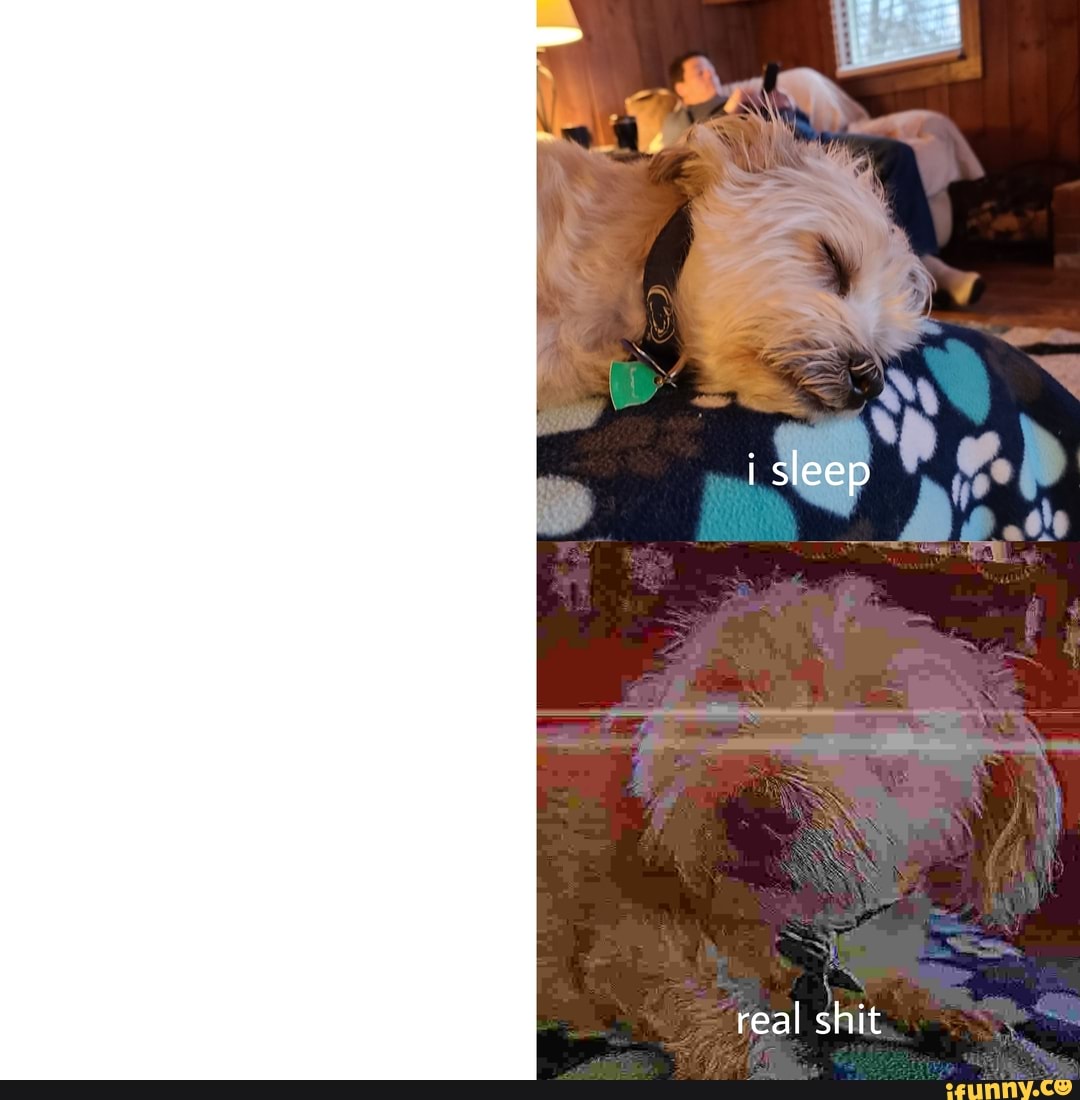I sleep real shit - iFunny Brazil