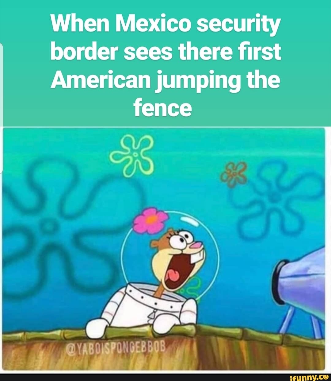 American Jumping The Border