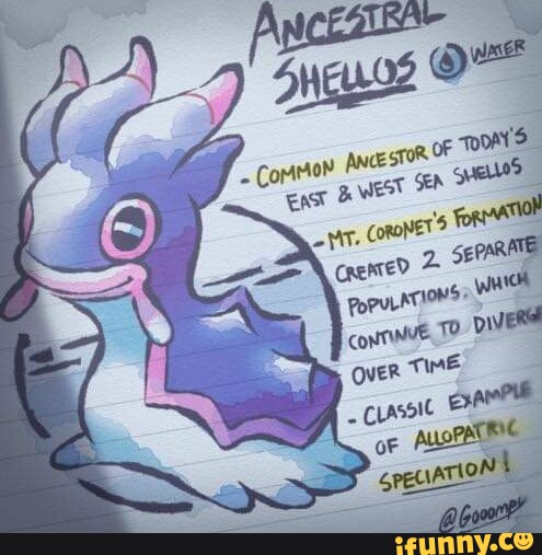 Pokemon Shellos Evolution