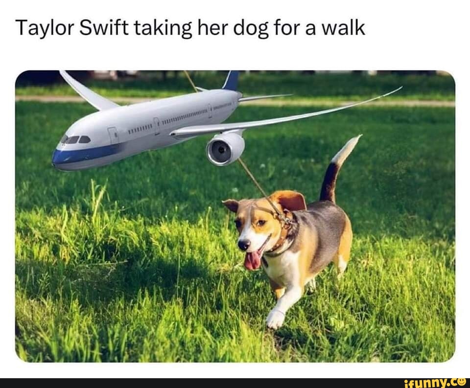 Taylor Swift taking her dog for a walk - iFunny Brazil