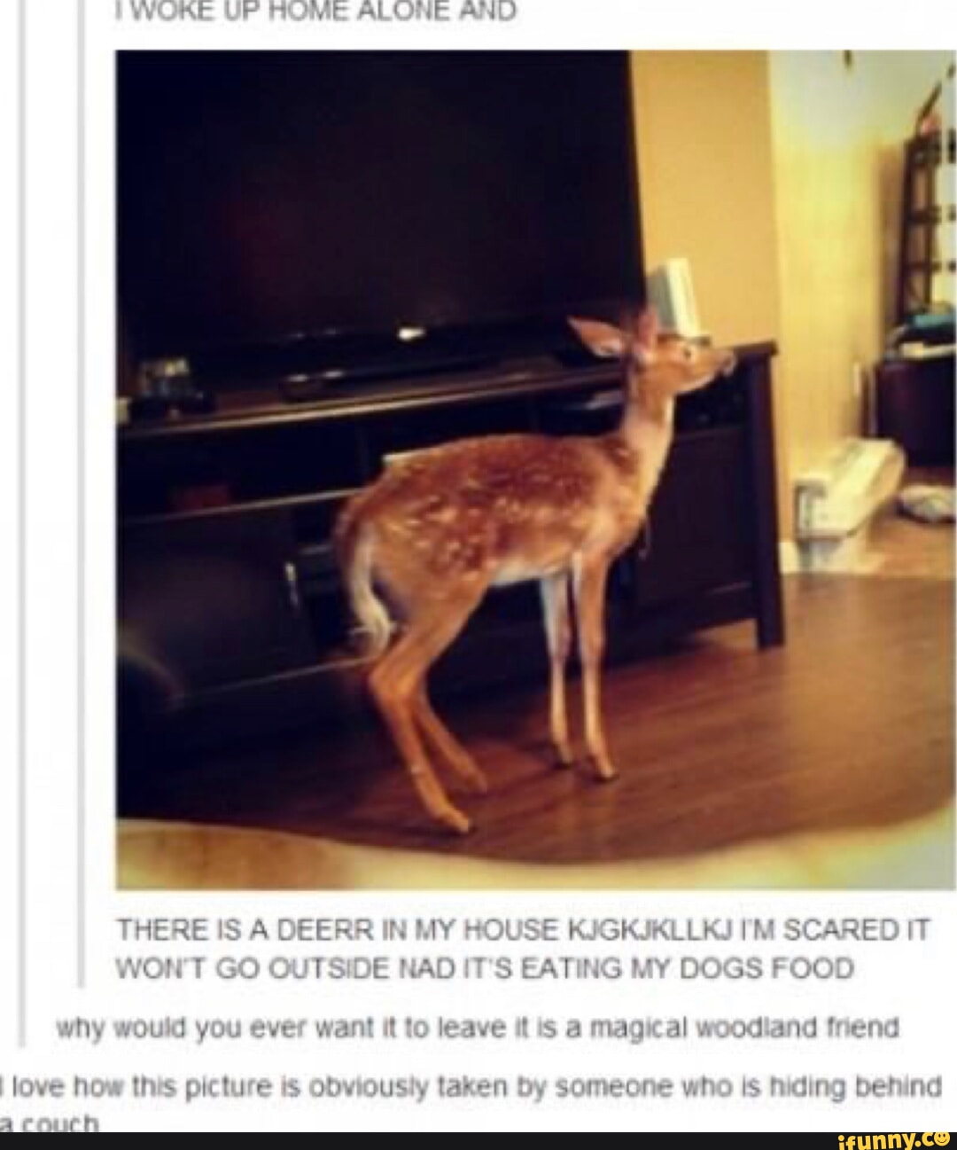Scary Deer Meme