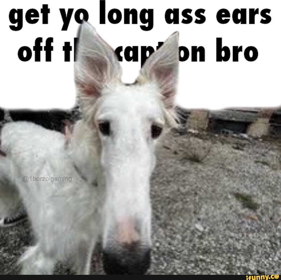 Get yo long ass ears on bro - iFunny Brazil