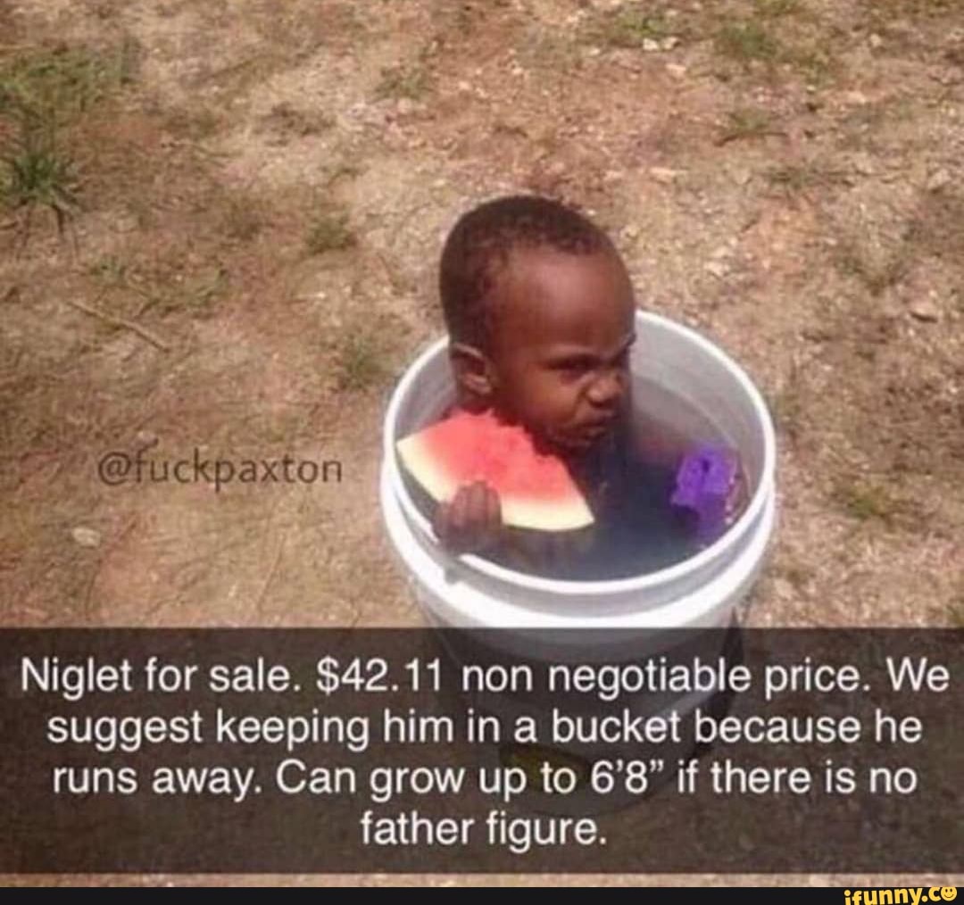 @fuckpaxton Niglet for sale. $42.11 non negotiable price. We suggest ...