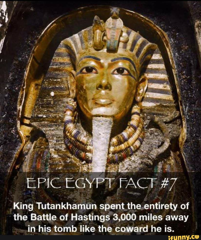 EPIC EGYPT FACT #7 King Tutankhamun spent the entirety of the Battle of ...